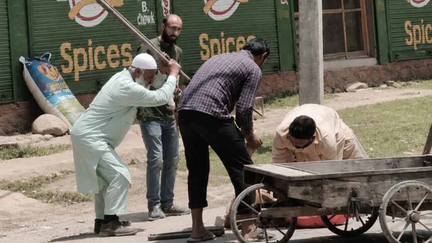 FIR Registered After Viral Video Shows Brutal Attack on Dog in Budgam ...